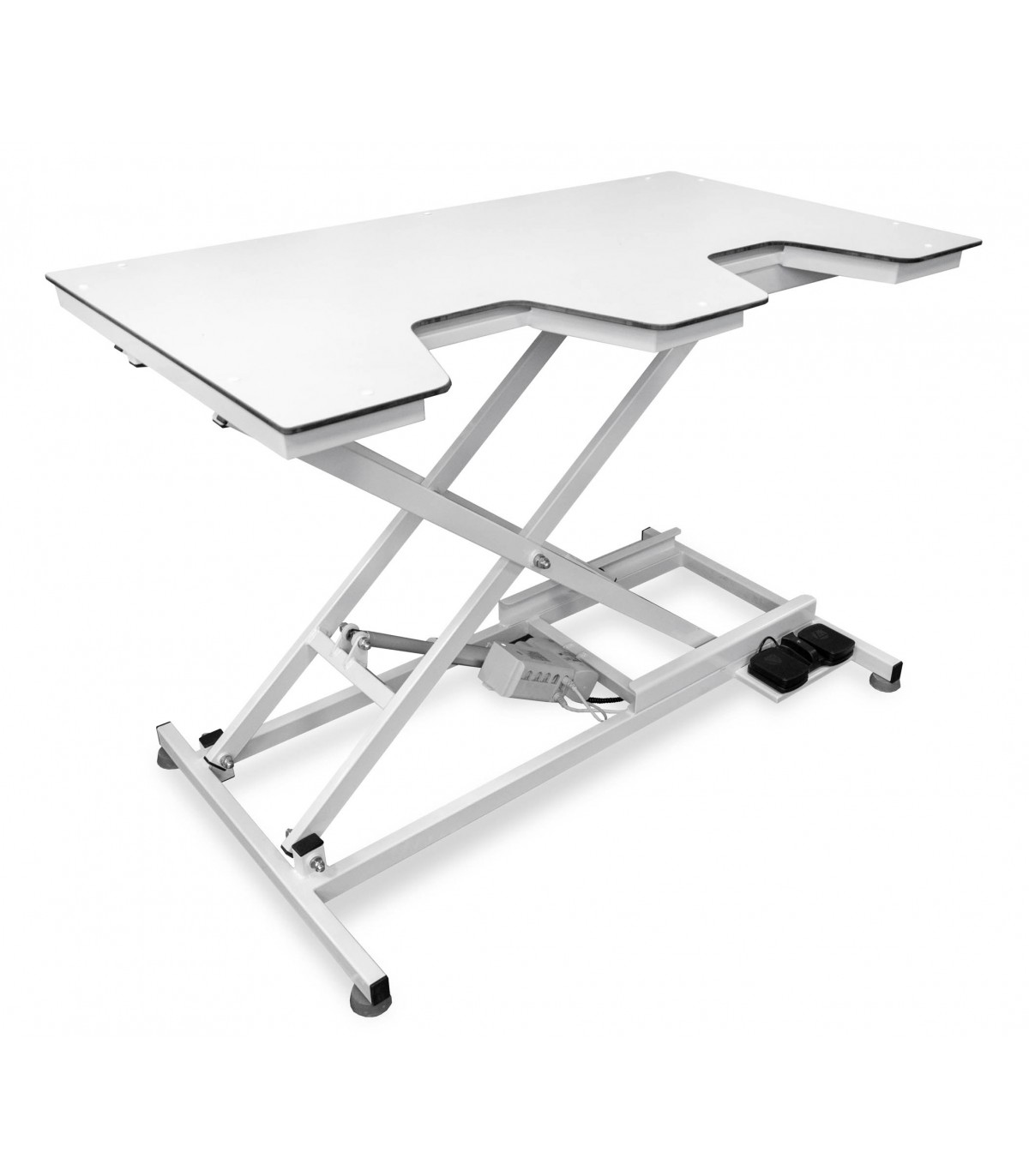 Veterinary ultrasound table ECHO PRO 1